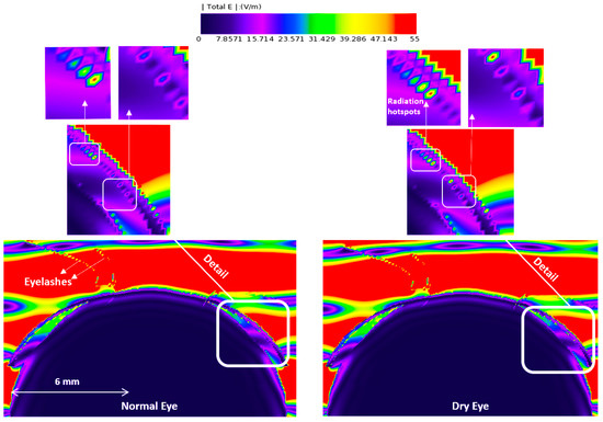 Sensors | Free Full-Text | The Effects of mmW and THz Radiation on Dry ...