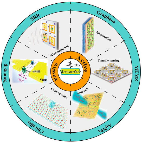 Metasurface-Assisted Terahertz Sensing
