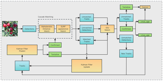 Fruit Detection and Counting in Apple Orchards Based on Improved Yolov7 ...