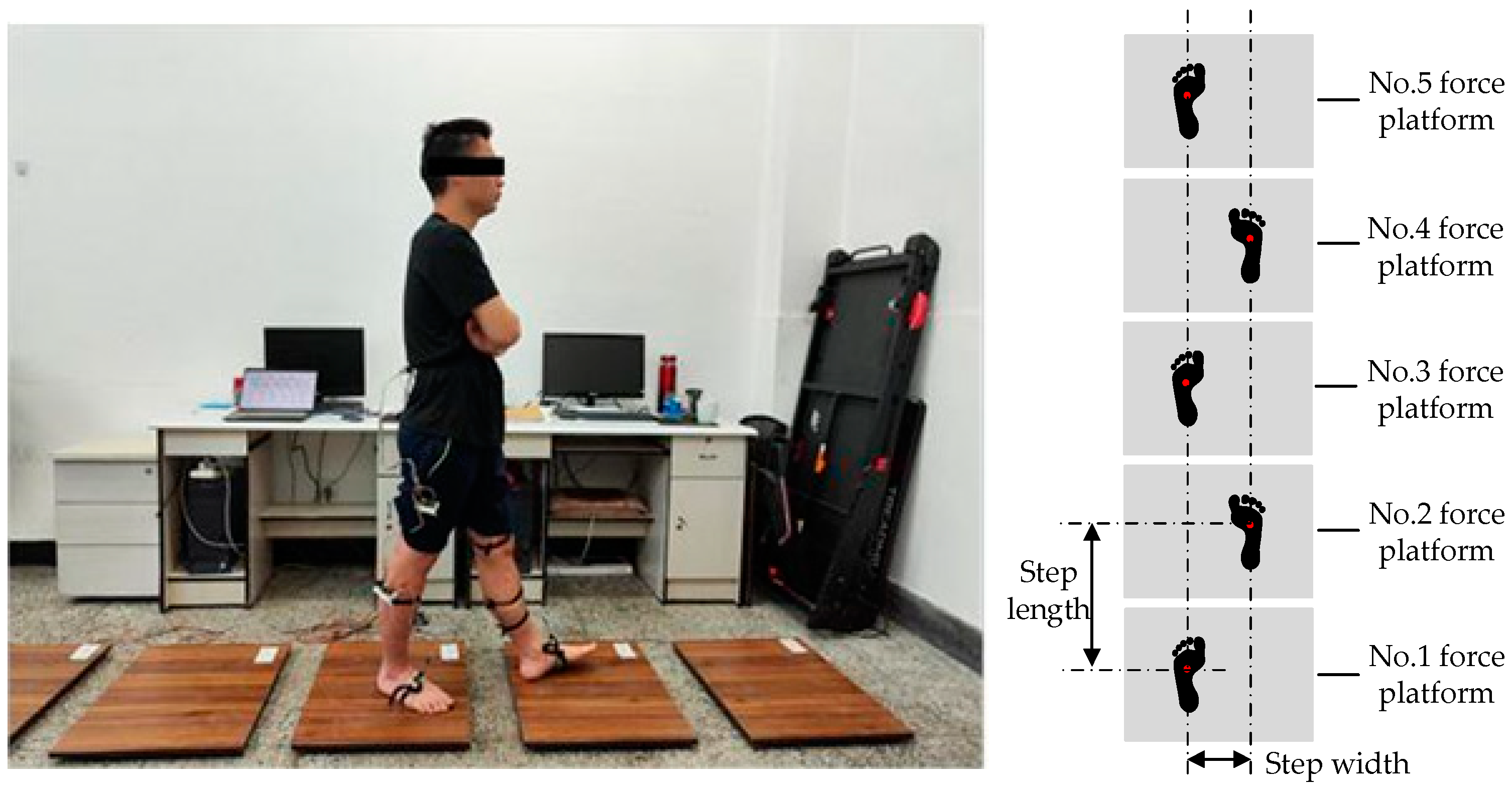 A Novel Gait Phase Recognition Method Based on DPF-LSTM-CNN Using Wearable Inertial Sensors