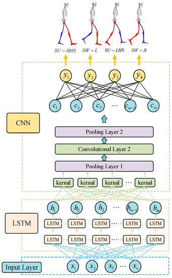 A Novel Gait Phase Recognition Method Based on DPF-LSTM-CNN Using Wearable Inertial Sensors