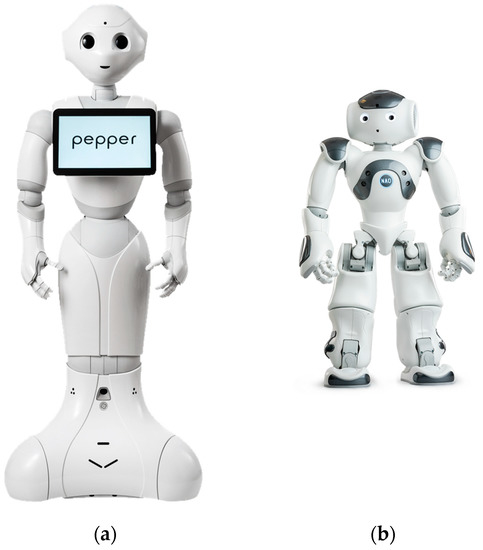 Sensors | Free Full-Text | Touching a Mechanical Body: The Role of ...