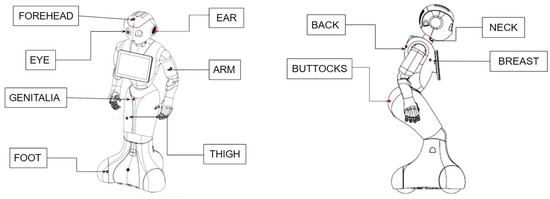 Sensors | Free Full-Text | Touching a Mechanical Body: The Role of ...