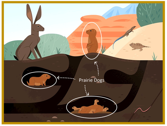 A Novel Prairie Dog-Based Meta-Heuristic Optimization Algorithm for Improved Control, Better ...
