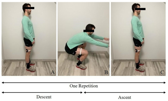 Assessing Quadriceps Muscle Contraction Using a Novel Surface ...