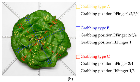 Effects of Harvesting Grabbing Type on Grabbing Force and Leaf Injury ...