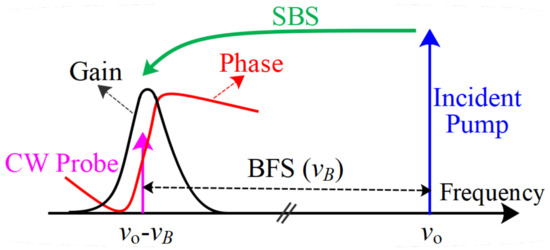 Robust Vector BOTDA Signal Processing with Probabilistic Machine Learning