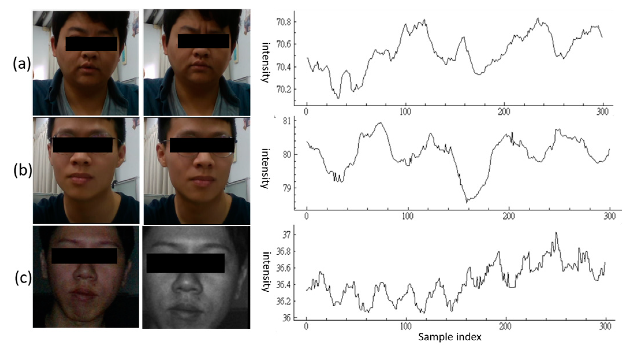 Heart Rate Estimation from Facial Image Sequences of a Dual-Modality ...