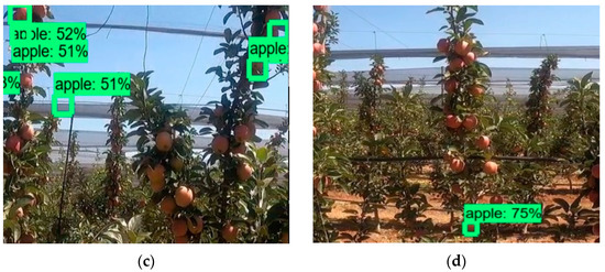 Deep Learning Based Apples Counting for Yield Forecast Using Proposed Flying Robotic System