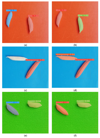 SY-Net: A Rice Seed Instance Segmentation Method Based on a Six-Layer ...
