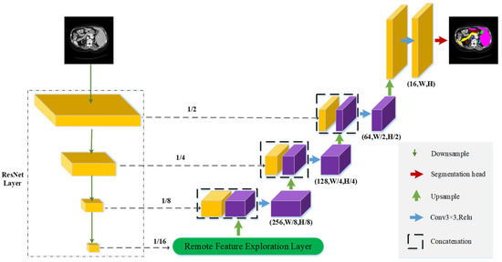 RFE-UNet: Remote Feature Exploration with Local Learning for Medical ...