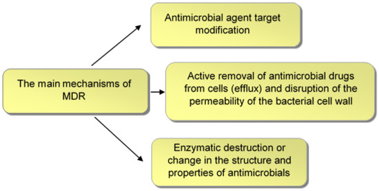 Electroacoustic Biosensor Systems for Evaluating Antibiotic Action on ...