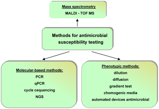 Electroacoustic Biosensor Systems for Evaluating Antibiotic Action on ...