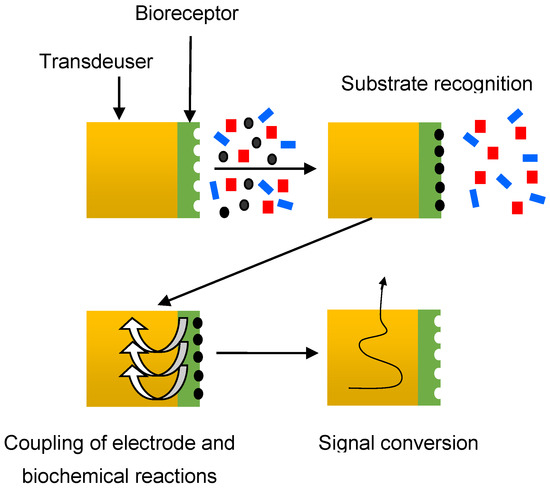 Electroacoustic Biosensor Systems for Evaluating Antibiotic Action on ...