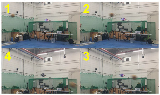 Vision-Based In-Flight Collision Avoidance Control Based on Background ...