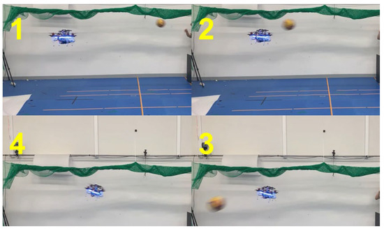 Vision-Based In-Flight Collision Avoidance Control Based on Background ...