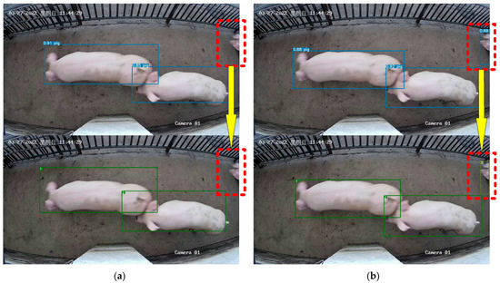 Sensors | Free Full-Text | An Improved Pig Counting Algorithm Based on YOLOv5 and DeepSORT Model