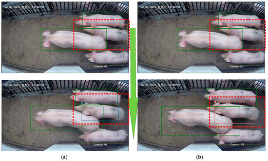 Sensors | Free Full-Text | An Improved Pig Counting Algorithm Based on YOLOv5 and DeepSORT Model
