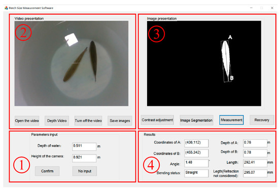 In-Water Fish Body-Length Measurement System Based on Stereo Vision