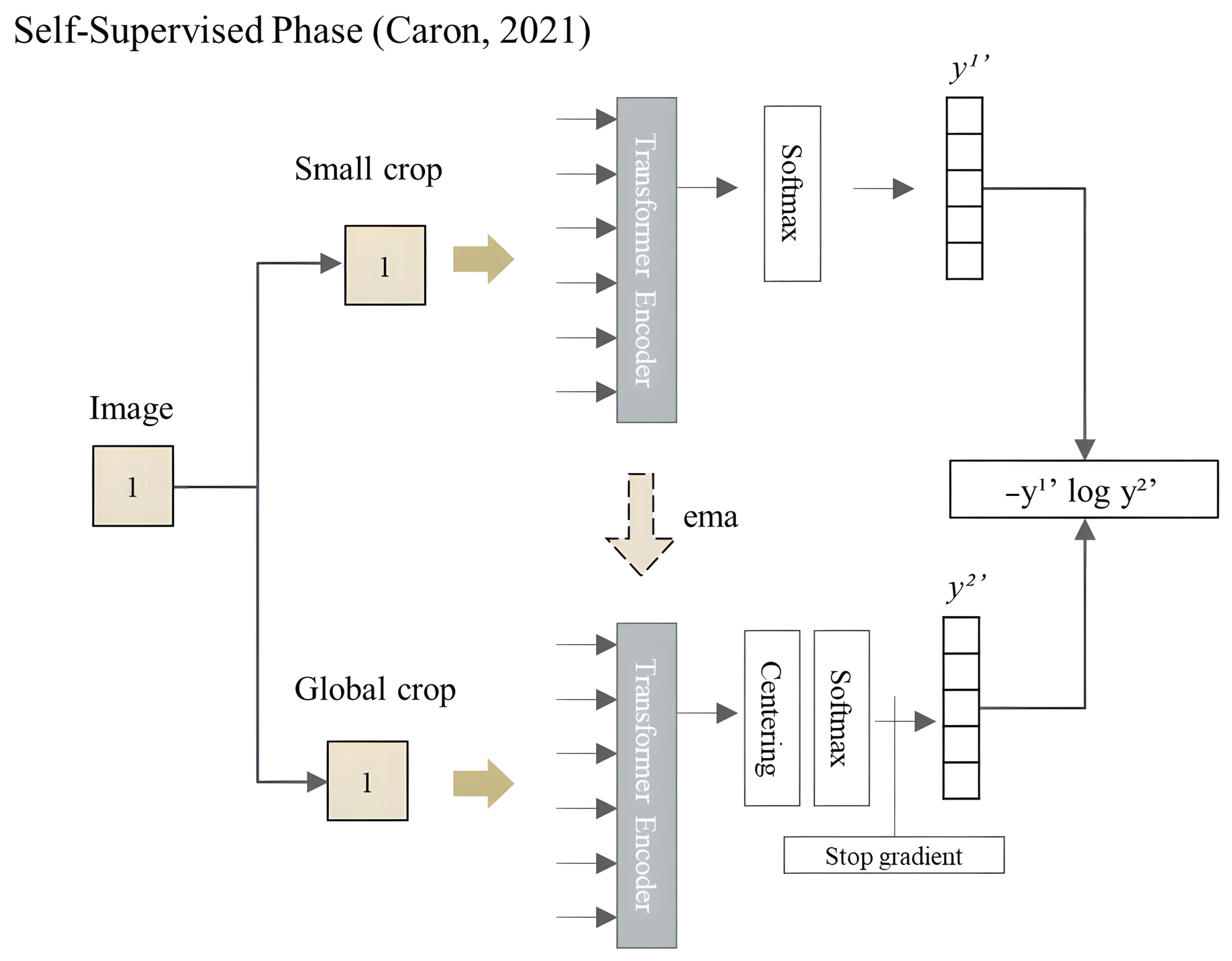 Video-Based Human Activity Recognition Using Deep Learning Approaches