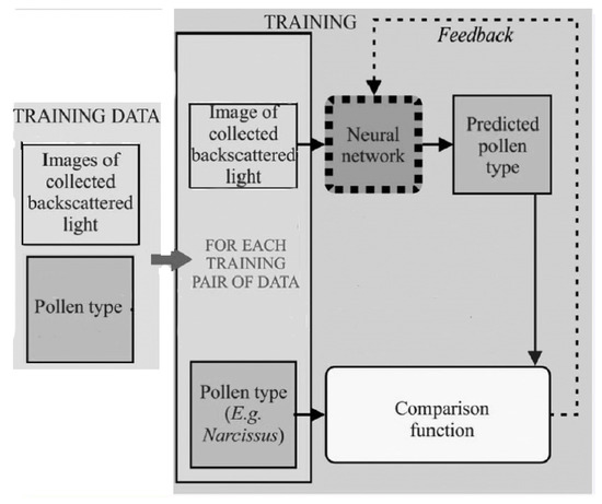 Deep Learning for Optical Sensor Applications: A Review