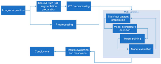 A Deep Learning Approach to Intrusion Detection and Segmentation in Pellet Fuels Using ...