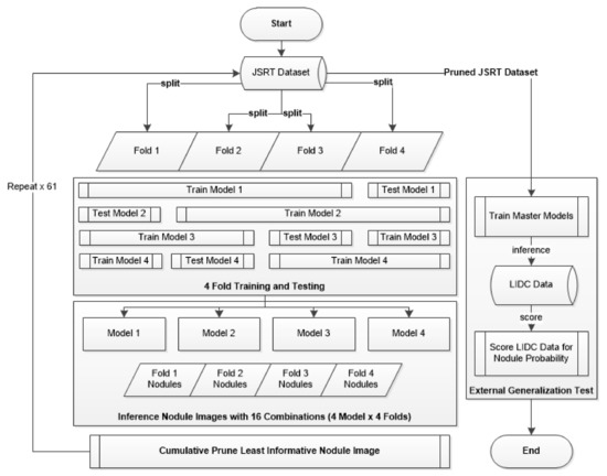 Development of Debiasing Technique for Lung Nodule Chest X-ray Datasets to Generalize Deep ...