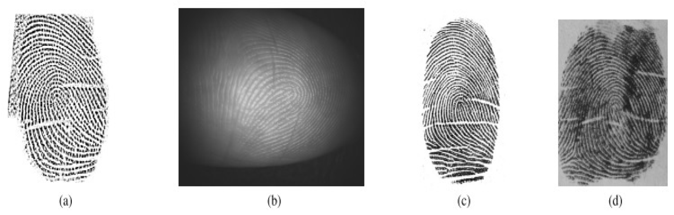 Fingerprint Systems: Sensors, Image Acquisition, Interoperability and Challenges