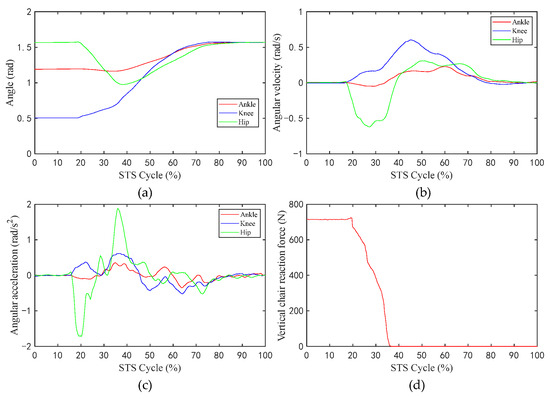 Analysis of Ankle Muscle Dynamics during the STS Process Based on ...