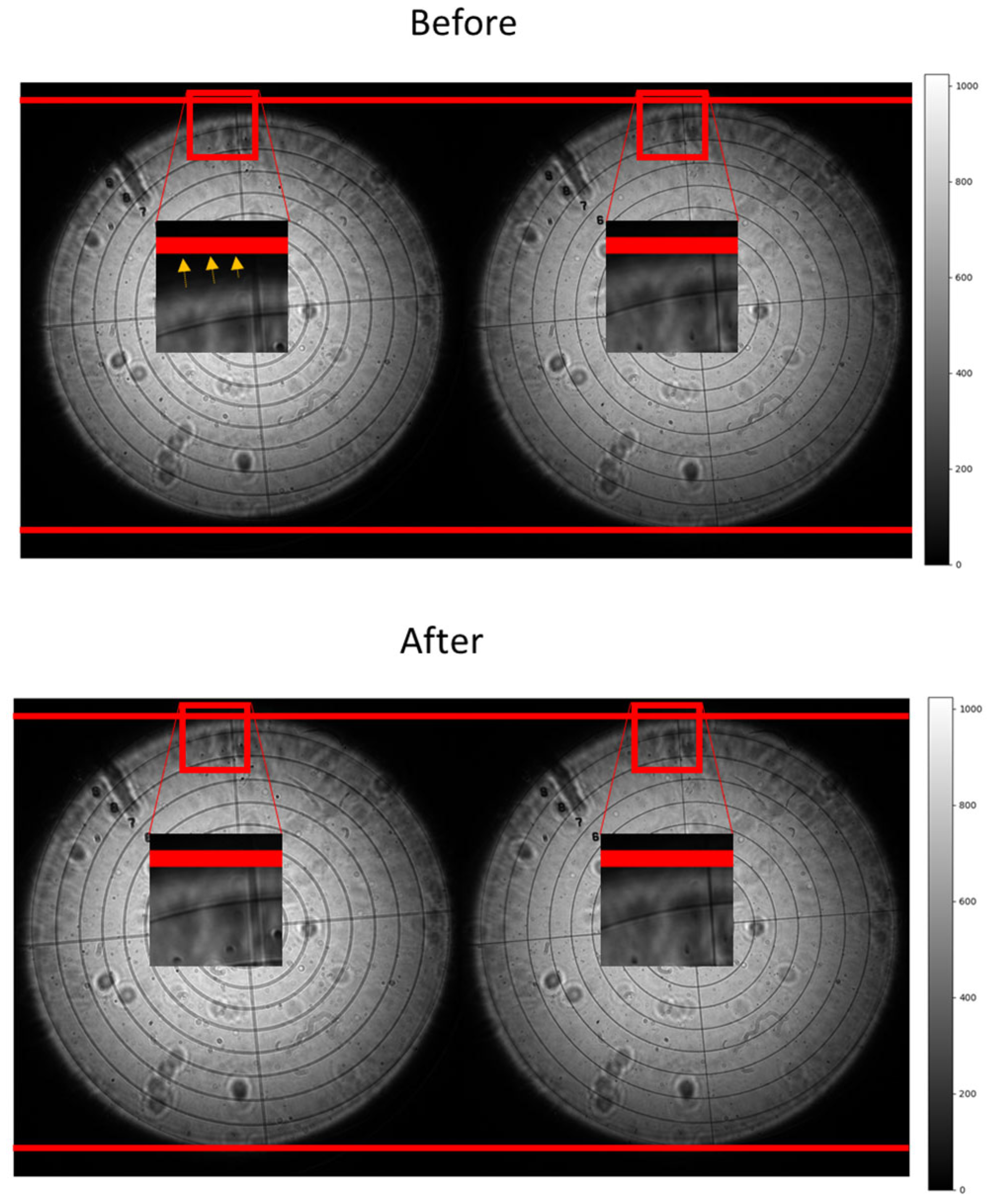 Real-Time Wavefront Sensing at High Resolution with an Electrically ...