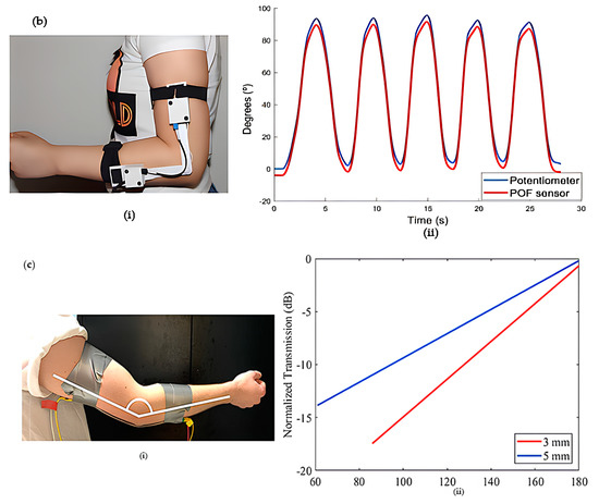Wearable Optical Fiber Sensors in Medical Monitoring Applications: A Review