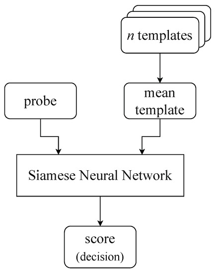 Sensors | Free Full-Text | Siamese Neural Network for Keystroke Dynamics-Based Authentication on ...