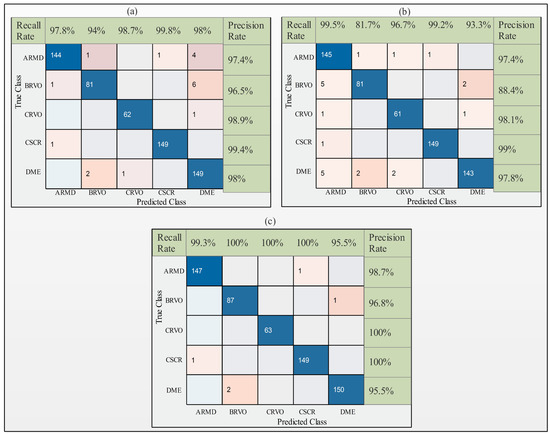 Sensors | Free Full-Text | Optical Coherence Tomography Image ...