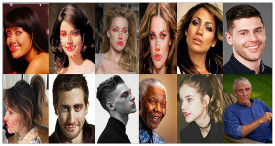 A Lightweight Monocular 3D Face Reconstruction Method Based on Improved ...