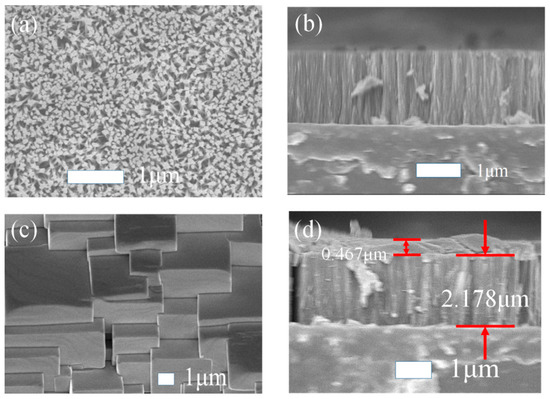 A High-Performance UVA Photodetector Based on Polycrystalline ...