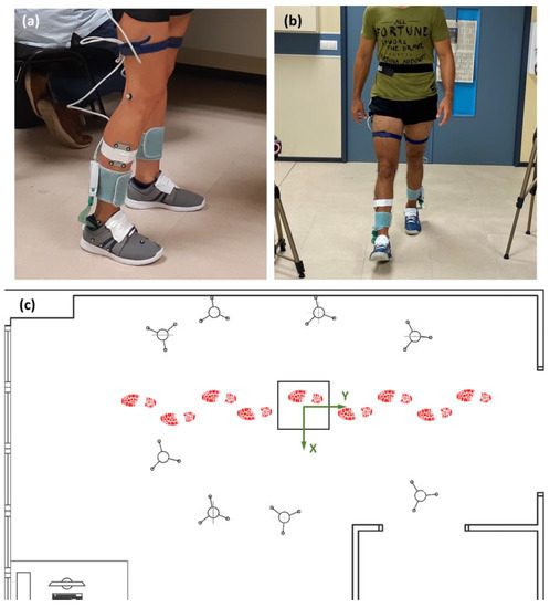 Foot Sole Contact Forces vs. Ground Contact Forces to Obtain Foot Joint ...