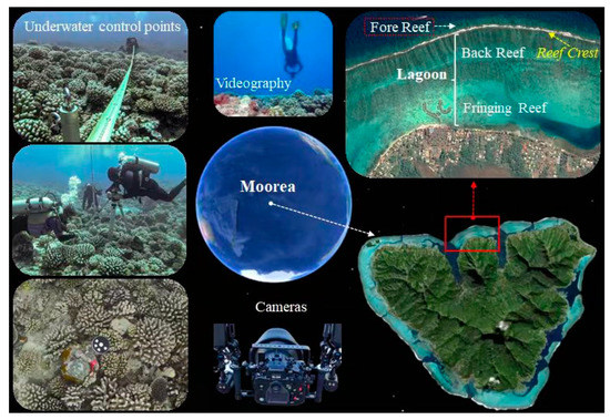 Sensors | Free Full-Text | Fine-Grained 3D Modeling and Semantic Mapping of Coral Reefs Using ...