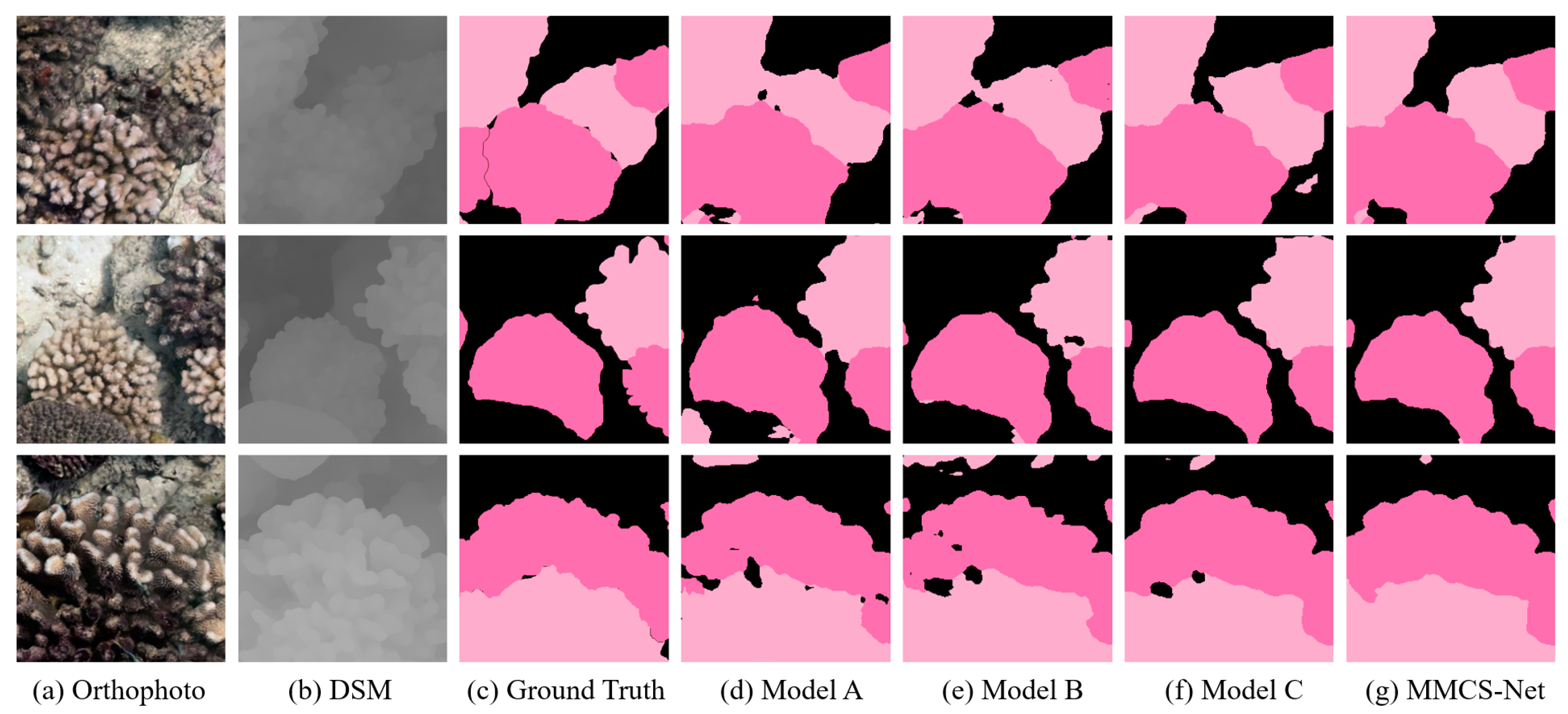 Sensors | Free Full-Text | Fine-Grained 3D Modeling and Semantic Mapping of Coral Reefs Using ...