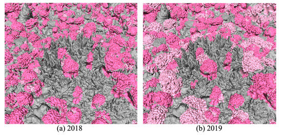 Fine-Grained 3D Modeling and Semantic Mapping of Coral Reefs Using ...