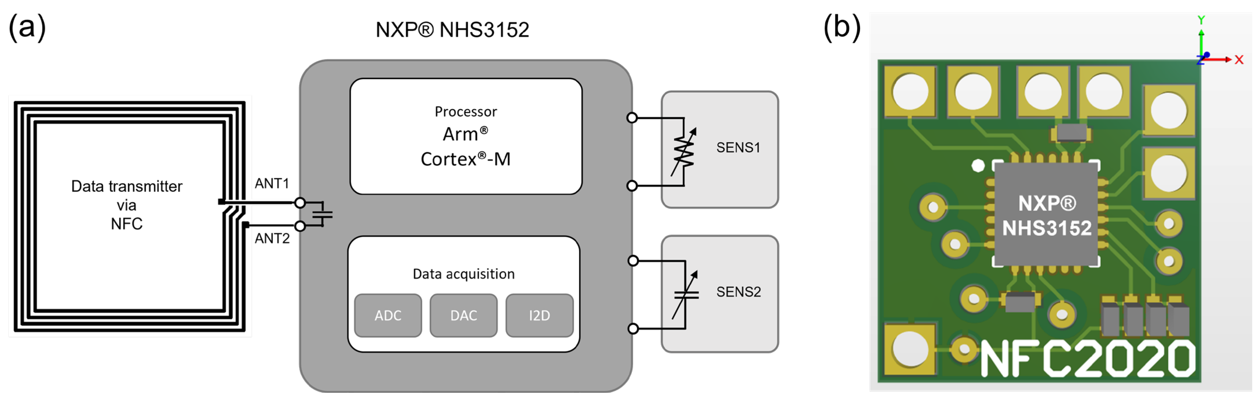 NFC-Enabled Dual-Channel Flexible Printed Sensor Tag