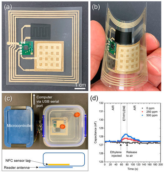NFC-Enabled Dual-Channel Flexible Printed Sensor Tag