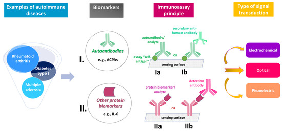 Immunosensors for Autoimmune-Disease-Related Biomarkers: A Literature ...