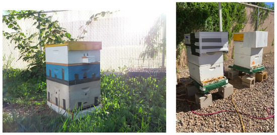 Accuracy vs. Energy: An Assessment of Bee Object Inference in Videos ...