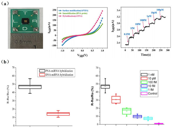 Application of Silicon Nanowire Field Effect Transistor (SiNW-FET) Biosensor with High Sensitivity