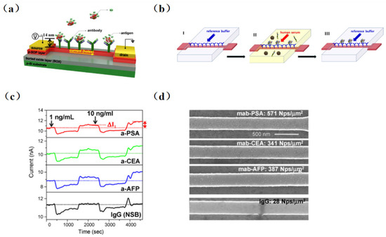 Application of Silicon Nanowire Field Effect Transistor (SiNW-FET) Biosensor with High Sensitivity