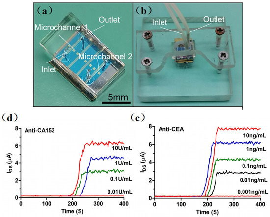 Application of Silicon Nanowire Field Effect Transistor (SiNW-FET) Biosensor with High Sensitivity