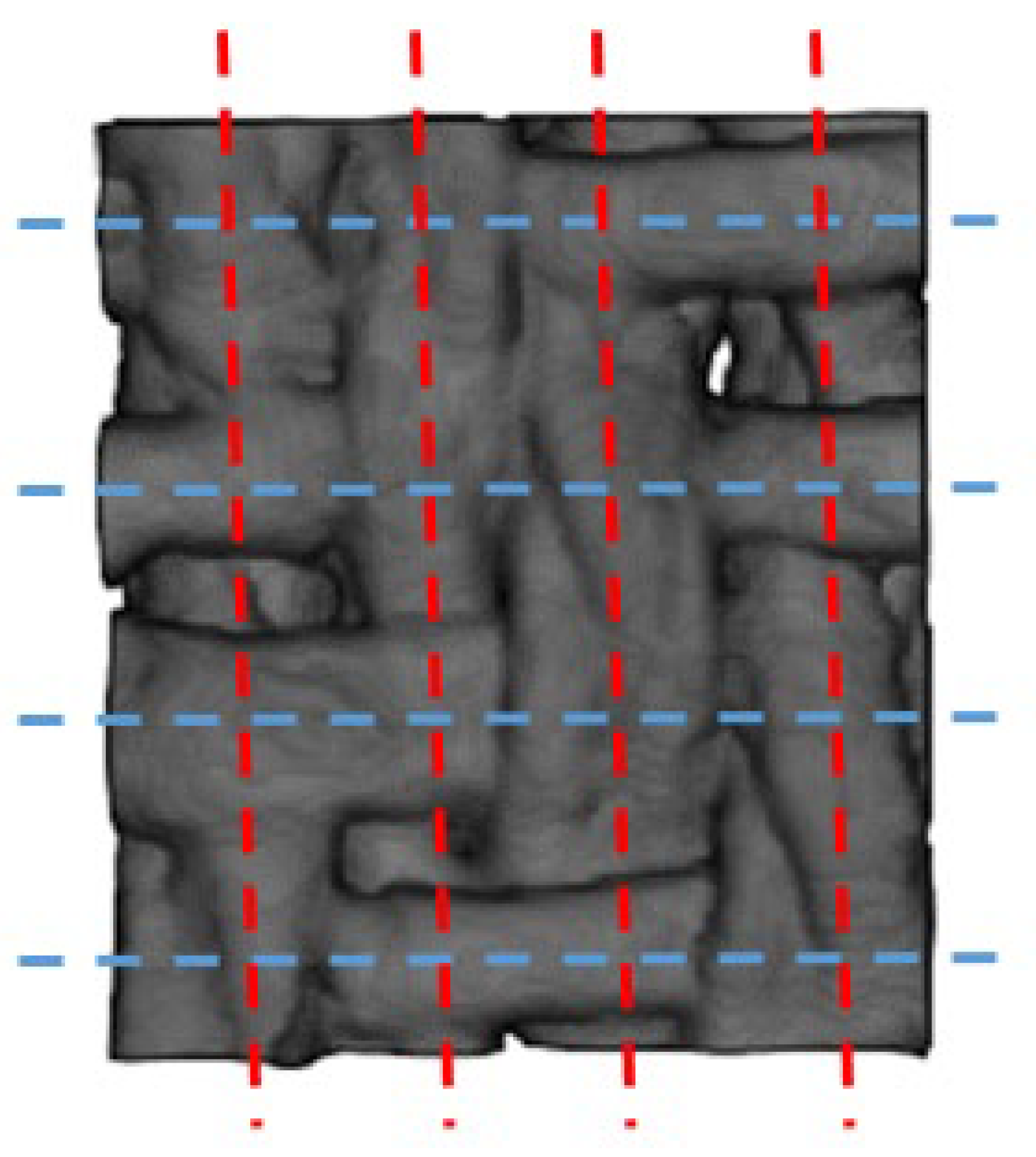 Extraction of the Microstructure of Wool Fabrics Based on Structure Tensor