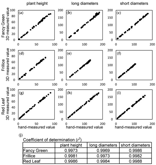 A Novel Method for Quantifying Plant Morphological Characteristics Using Normal Vectors and ...