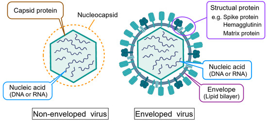 Improvement of Sensitivity and Speed of Virus Sensing Technologies ...