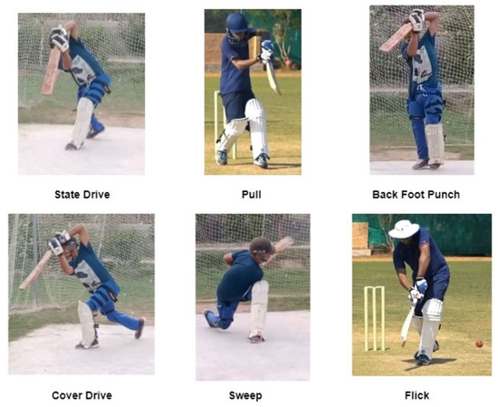 Enhancing Cricket Performance Analysis with Human Pose Estimation and Machine Learning